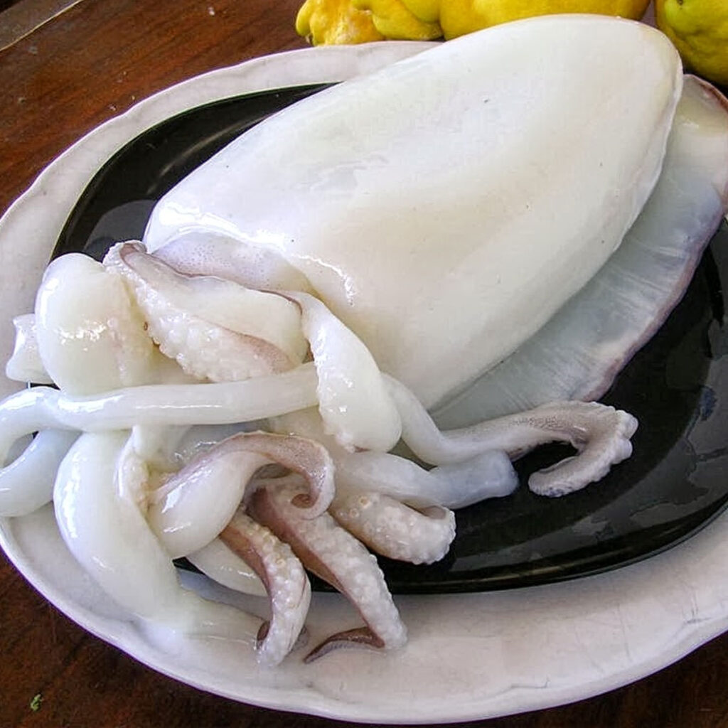 Dancorp | Sea Food Meat Export Import Company In Canada