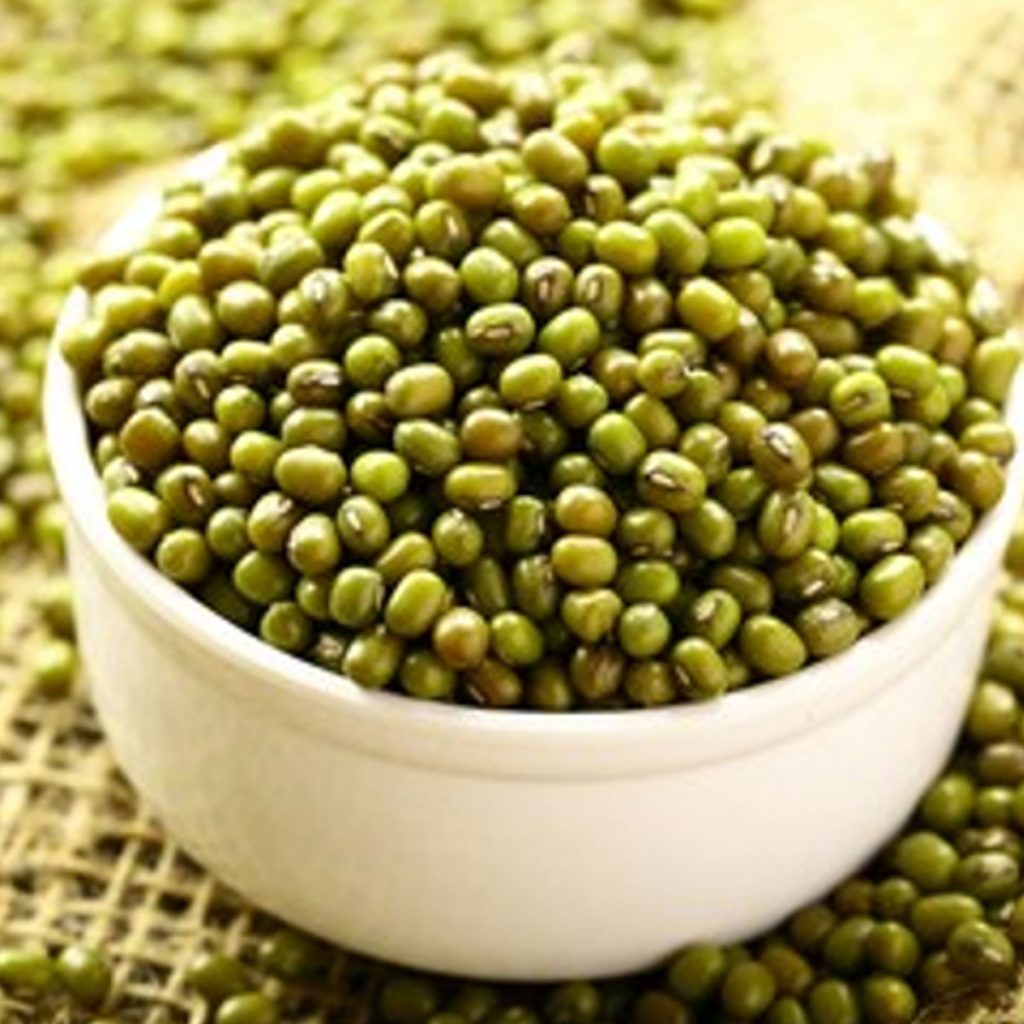 Canada Best Import Export Company | Dancorp Exports